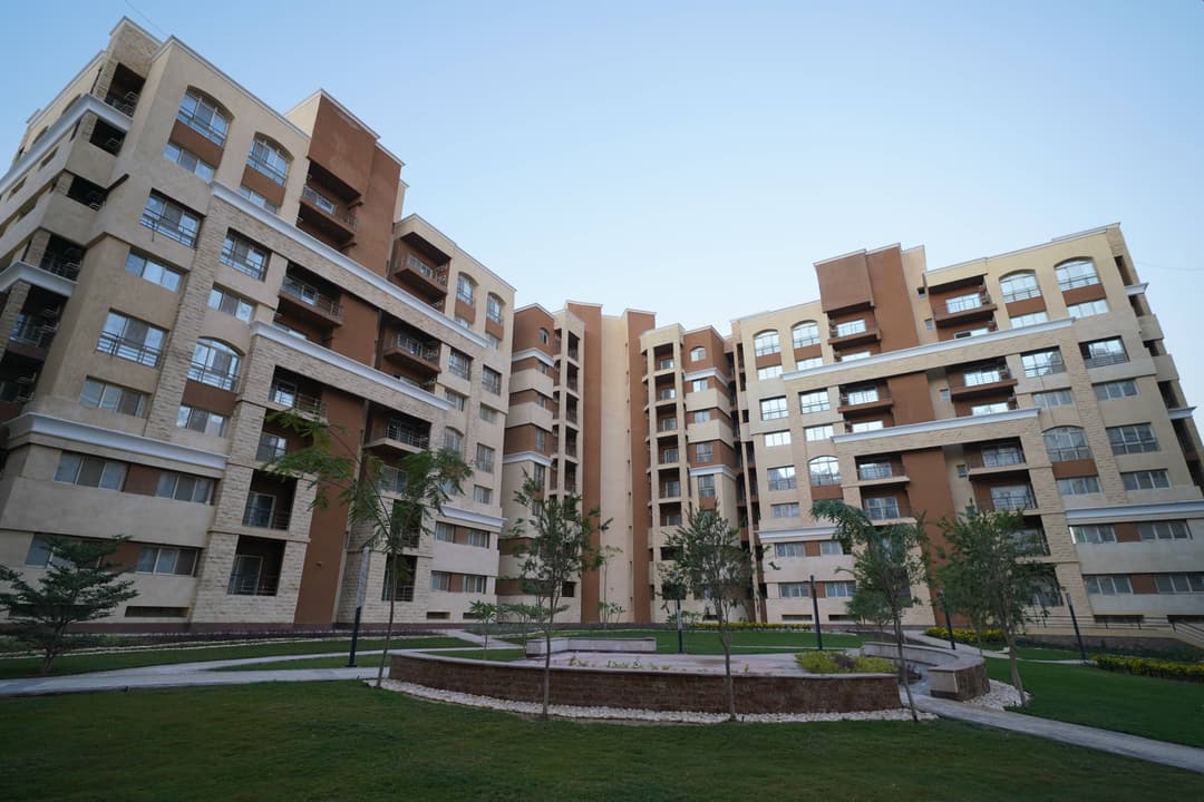 Zawbaa - Build a Solid Future Together
